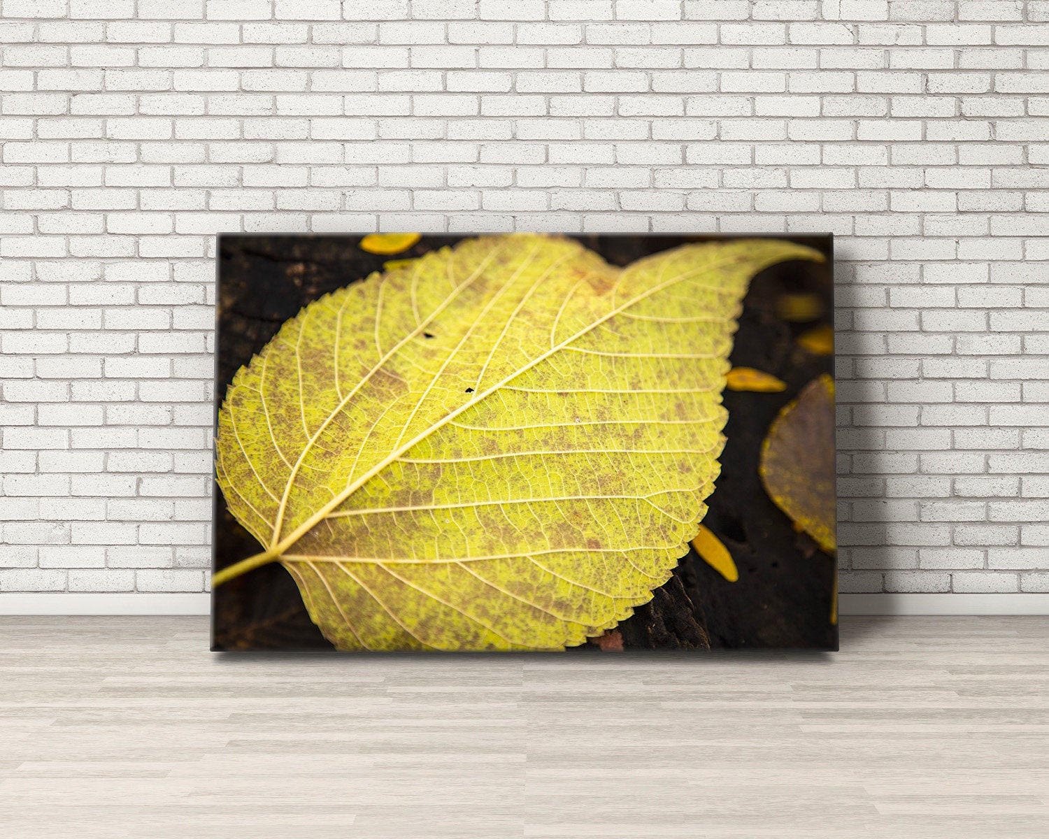 Detail of Yellow Autumn Leaf Canvas Wall Art Fall Color Wall - Etsy UK