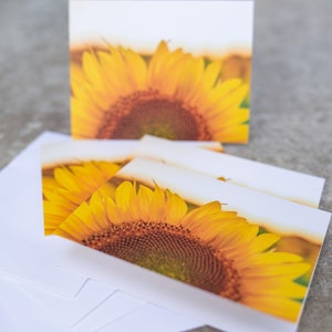 Sunflower Notecards Blank Cards With Envelopes Sunflower - Etsy