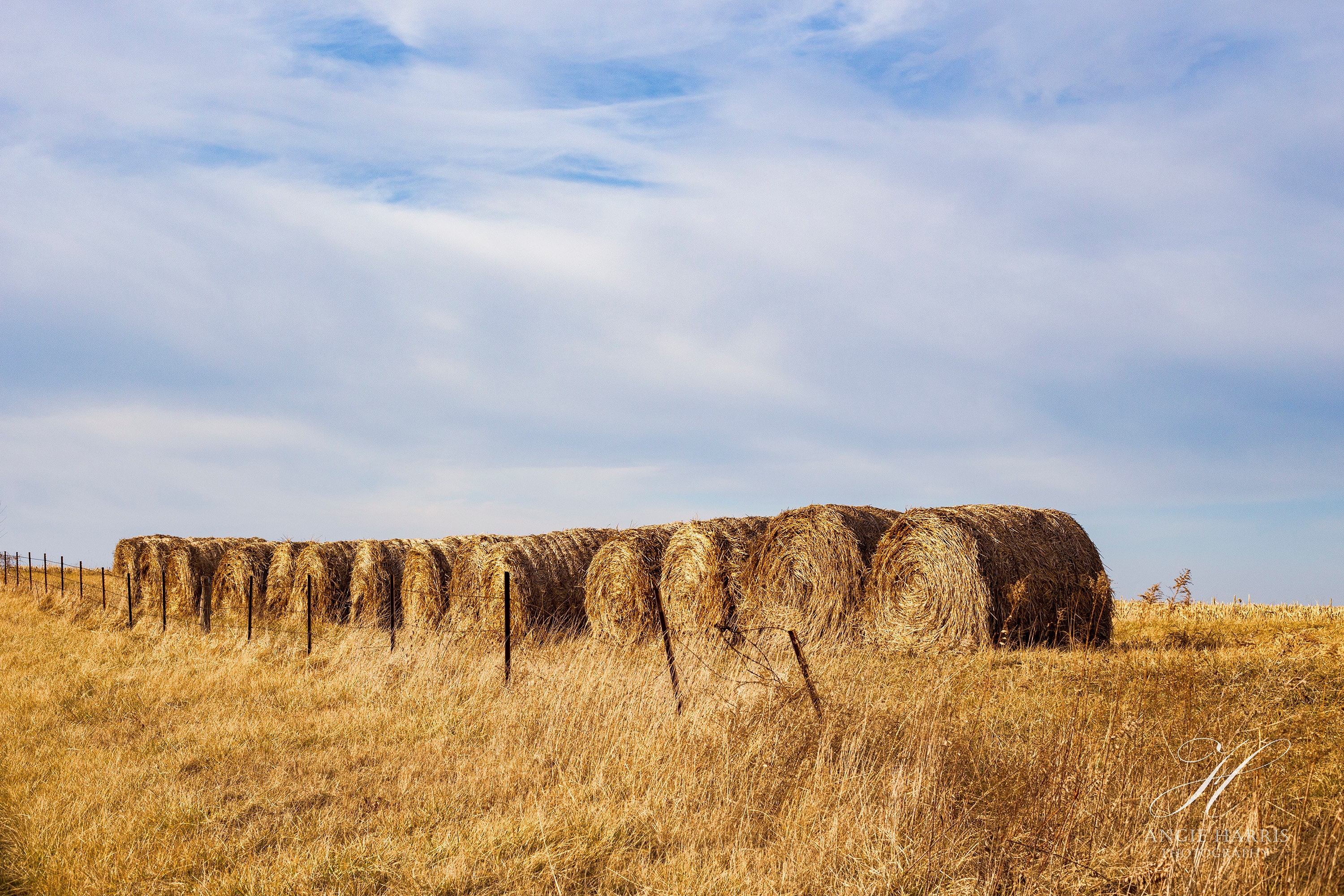 Farm Photography Wall Art Line of Hay Bales Country Landscape Rustic ...
