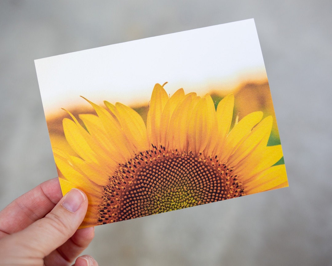 Sunflower Notecards Blank Cards With Envelopes Sunflower - Etsy