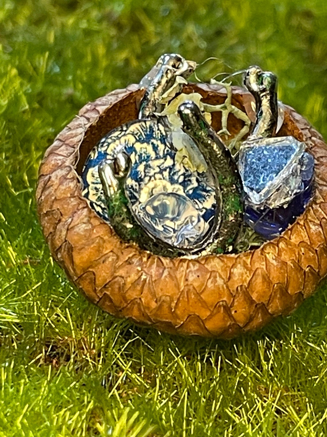 Lucky’s Treasure Chest- A Fairy Treasure Set Inside a Real Acorn Top ...