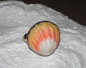 Beautiful Handcrafted Gold Filled Sunrise Shell Ring - Etsy