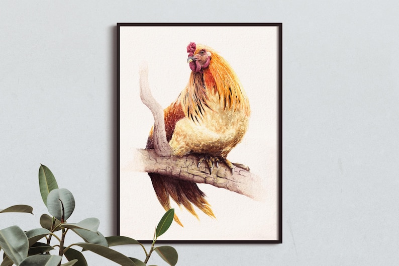 Hen Watercolor Painting Art Print: Original Wildlife Illustration - Etsy