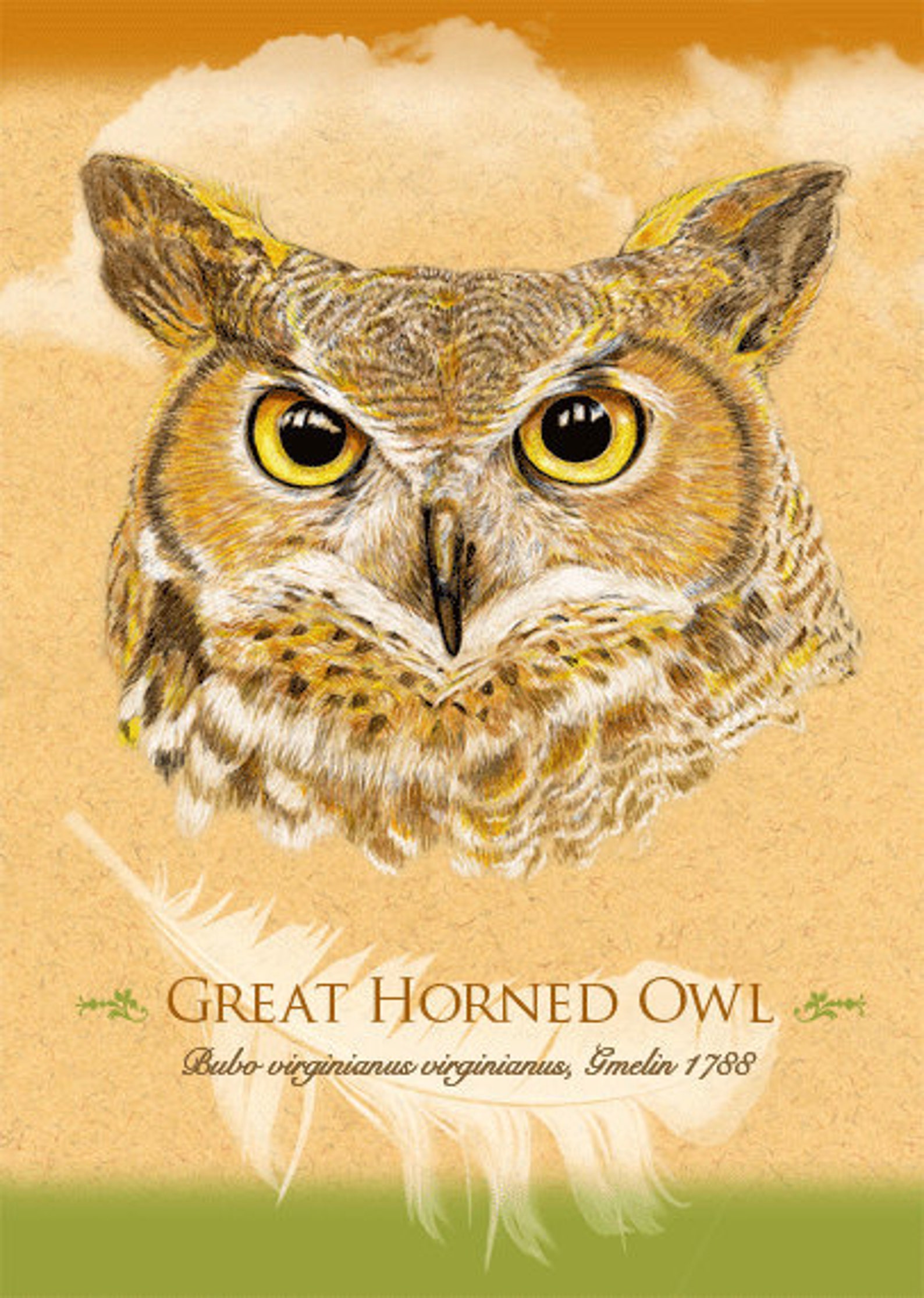 Great Horned Owl Greeting Card All Occasions | Etsy