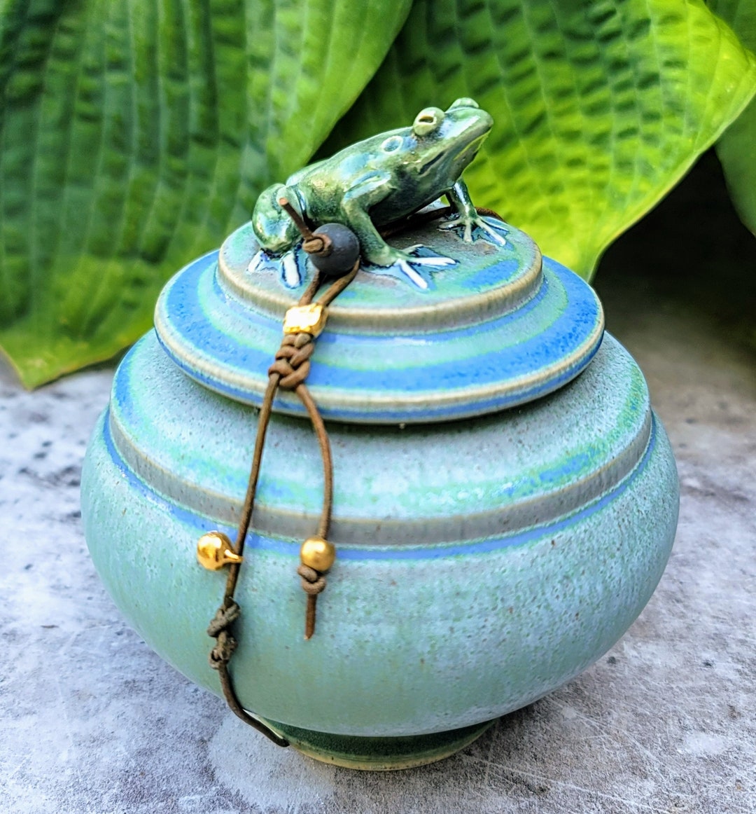Frog Wish Pot - Etsy