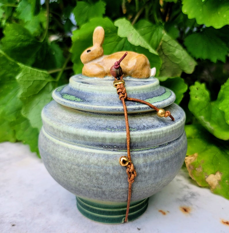 Rabbit Wish Pot - Etsy