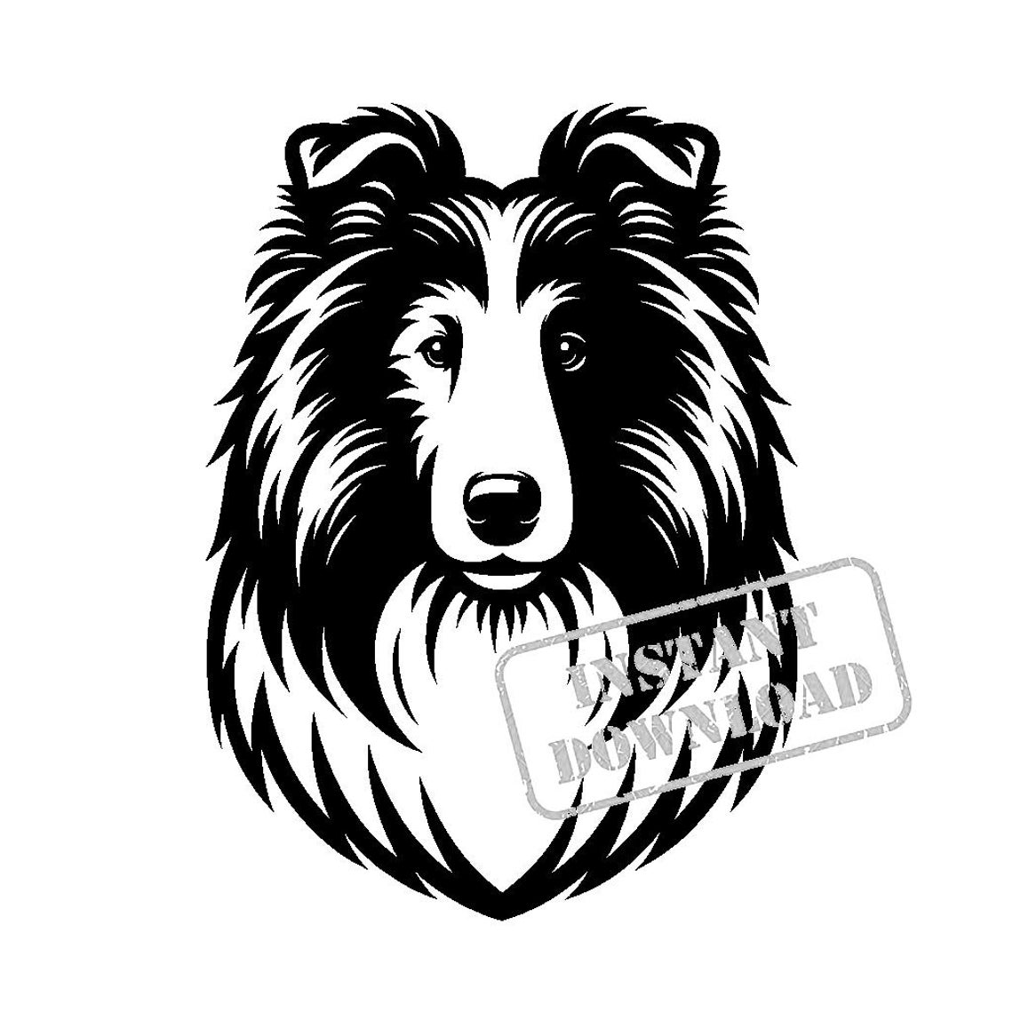 Collie SVG Bundle - Etsy