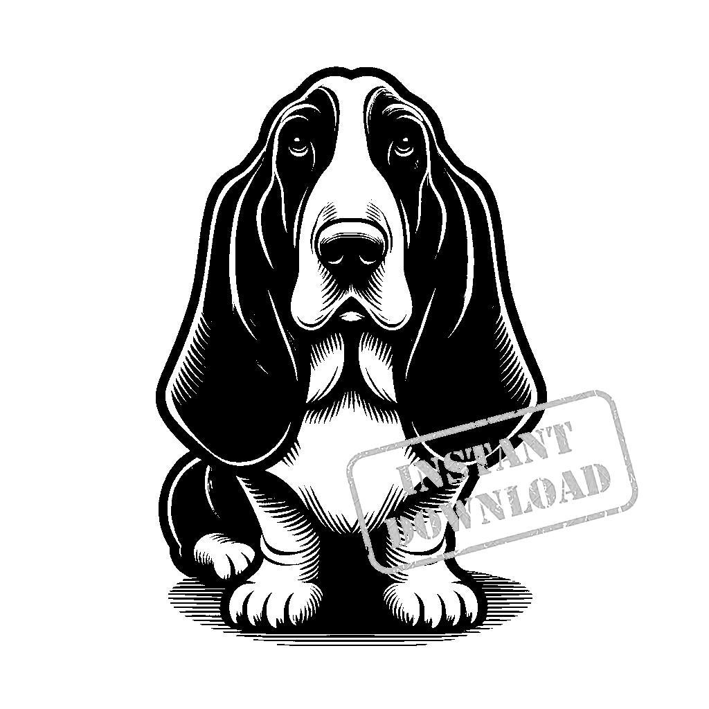 Basset Hound SVG Bundle - Etsy