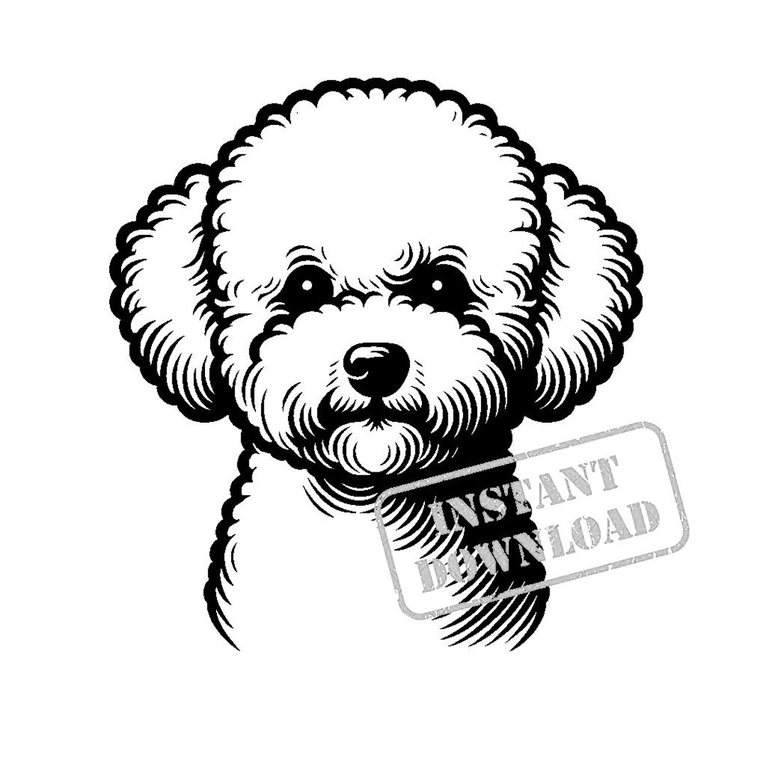 Bichon Frise in a One-line Drawing Style SVG Bundle - Etsy