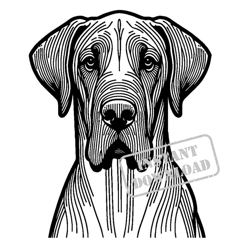 Great Dane in a One-line Drawing Style SVG Bundle - Etsy