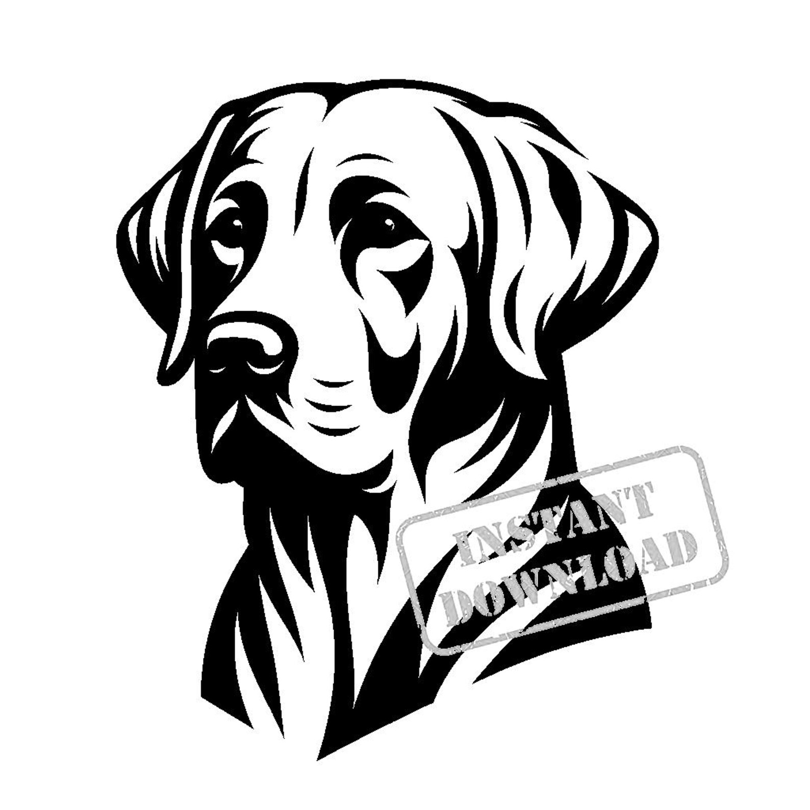 Labrador Retriever in an Abstract Style SVG Bundle - Etsy