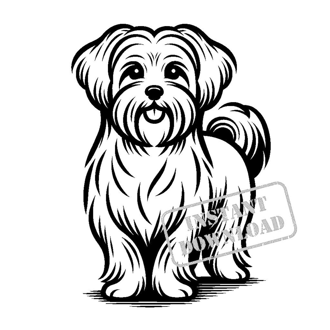 Maltese in a One-line Drawing Style SVG Bundle - Etsy