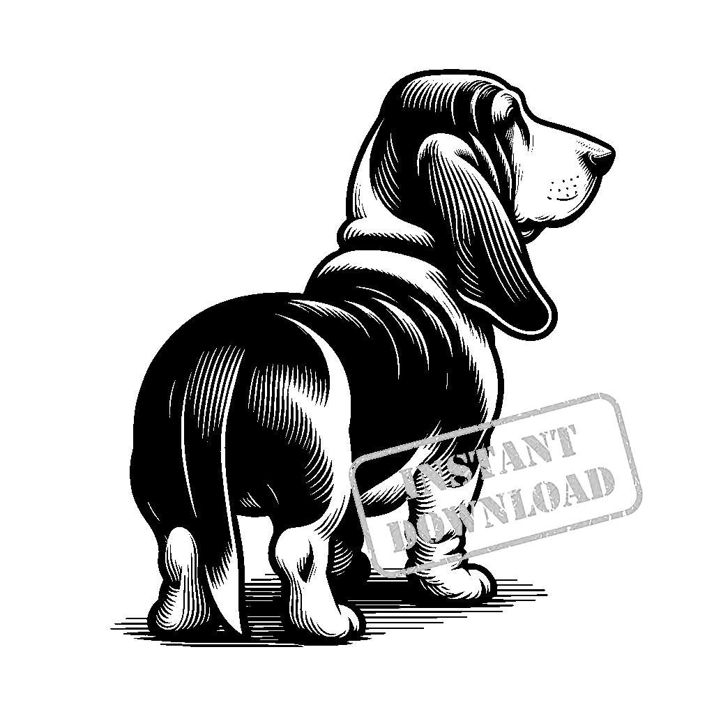 Basset Hound SVG Bundle - Etsy