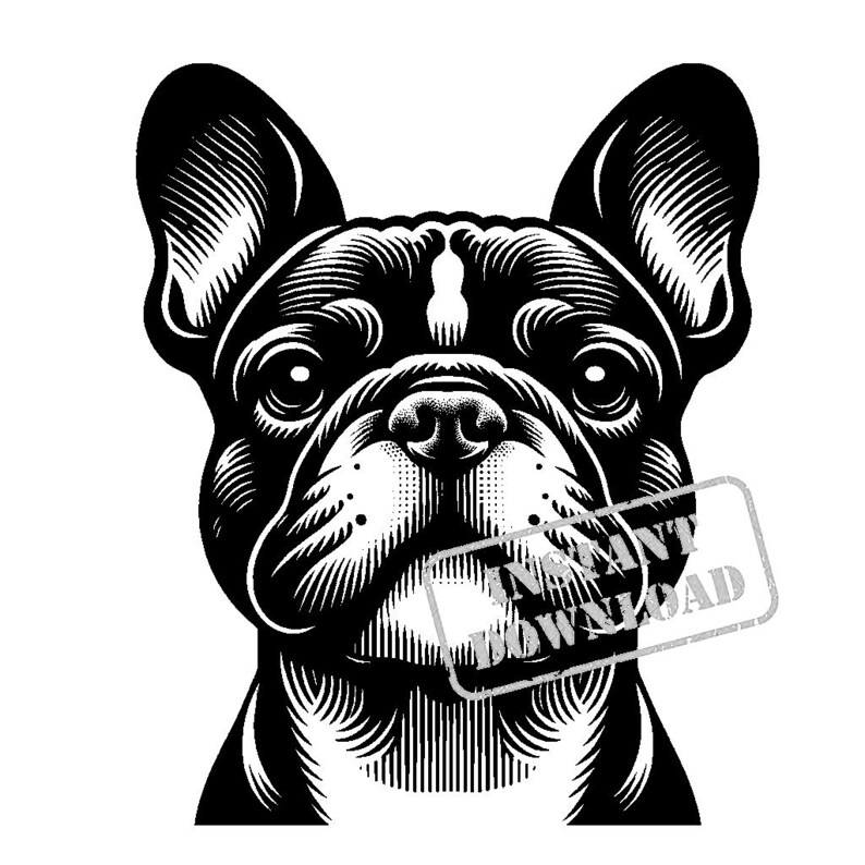 French Bulldog in Vintage Style SVG Bundle - Etsy