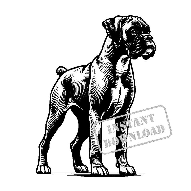 Boxer Dog in a One-line Drawing Style SVG Bundle - Etsy