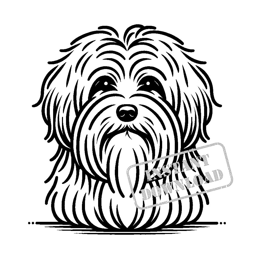 Havanese in a One-line Drawing Style SVG Bundle - Etsy