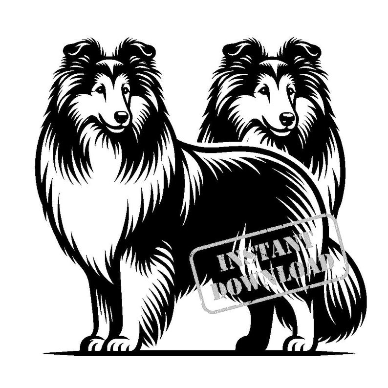 Shetland Sheepdog SVG Bundle - Etsy