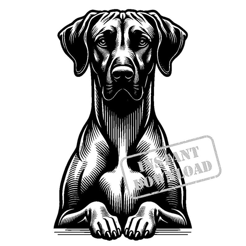 Rhodesian Ridgeback SVG Bundle - Etsy