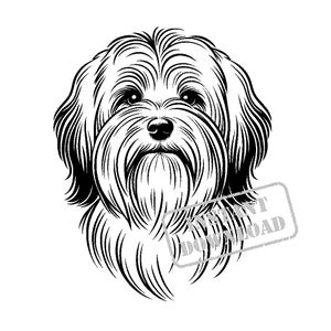 Havanese in a One-line Drawing Style SVG Bundle - Etsy