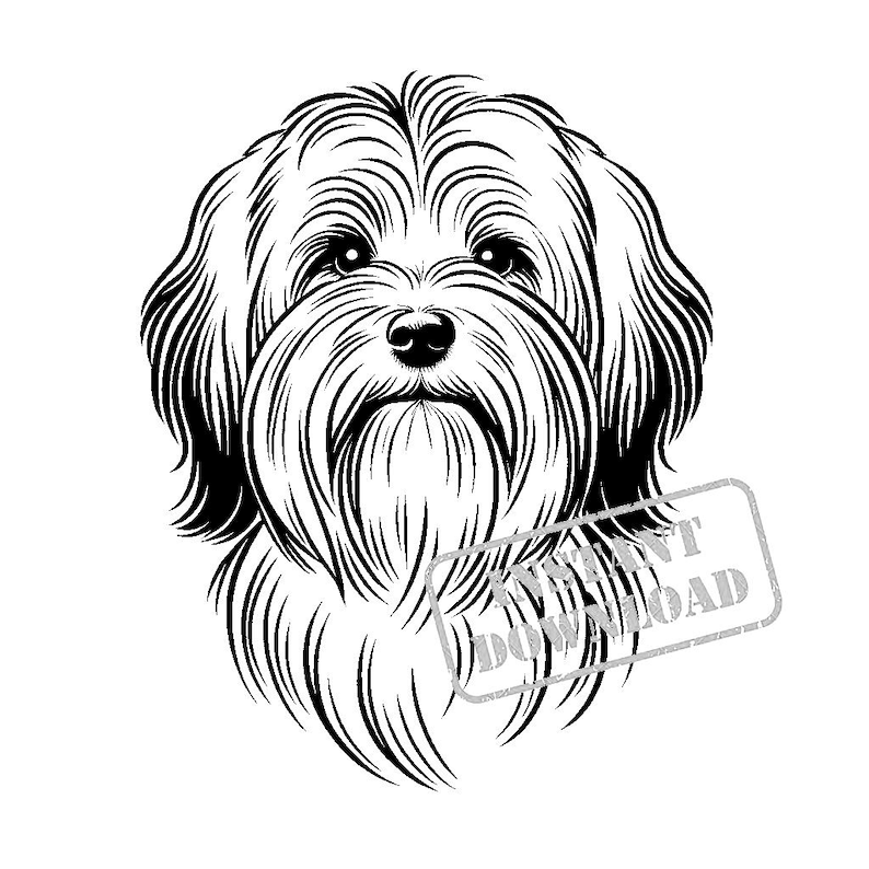 Havanese in a One-line Drawing Style SVG Bundle - Etsy