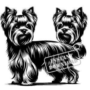 Yorkshire Terrier SVG Bundle - Etsy