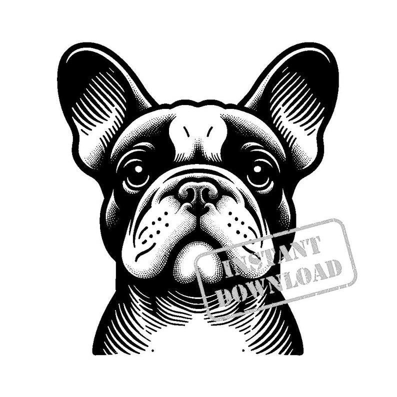 French Bulldog in Vintage Style SVG Bundle - Etsy