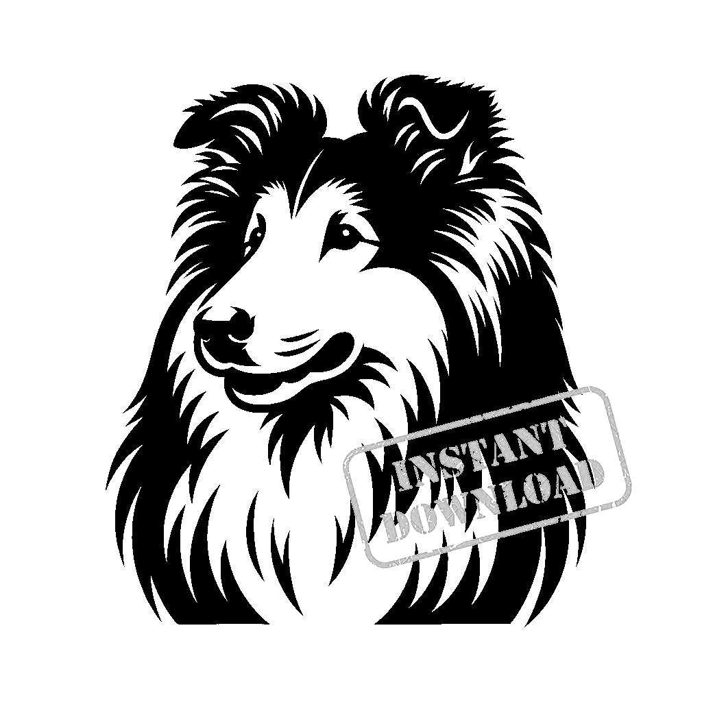 Collie in Pop Art Style SVG Bundle - Etsy