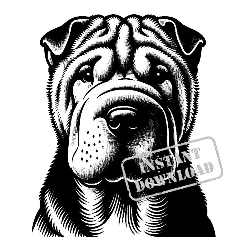 Chinese Shar-pei in Vintage Style SVG Bundle - Etsy