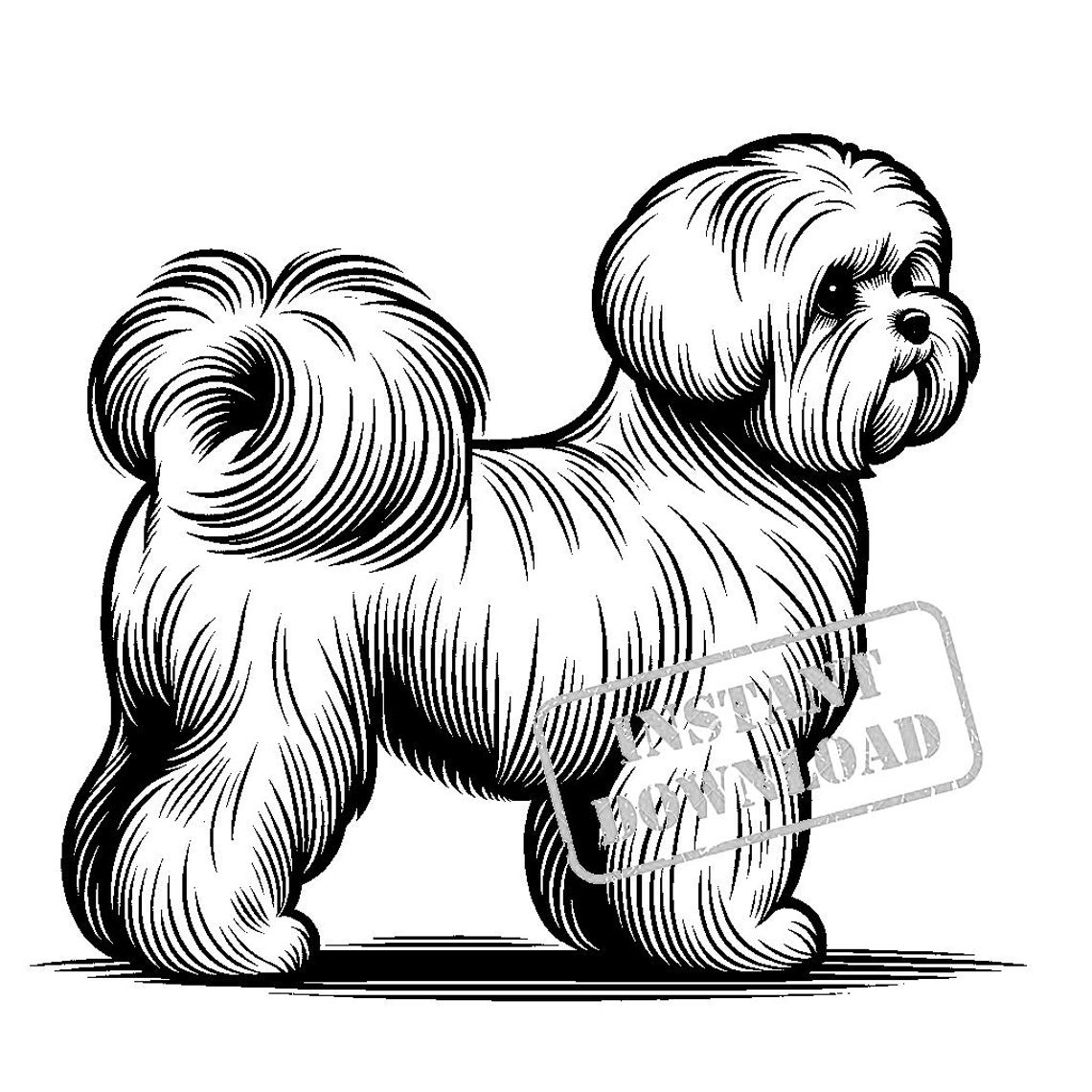 Maltese in a One-line Drawing Style SVG Bundle - Etsy