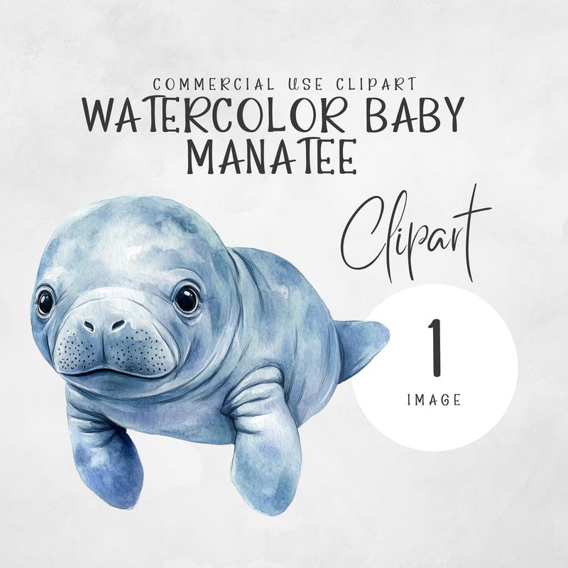 Manatee Watercolor - Etsy
