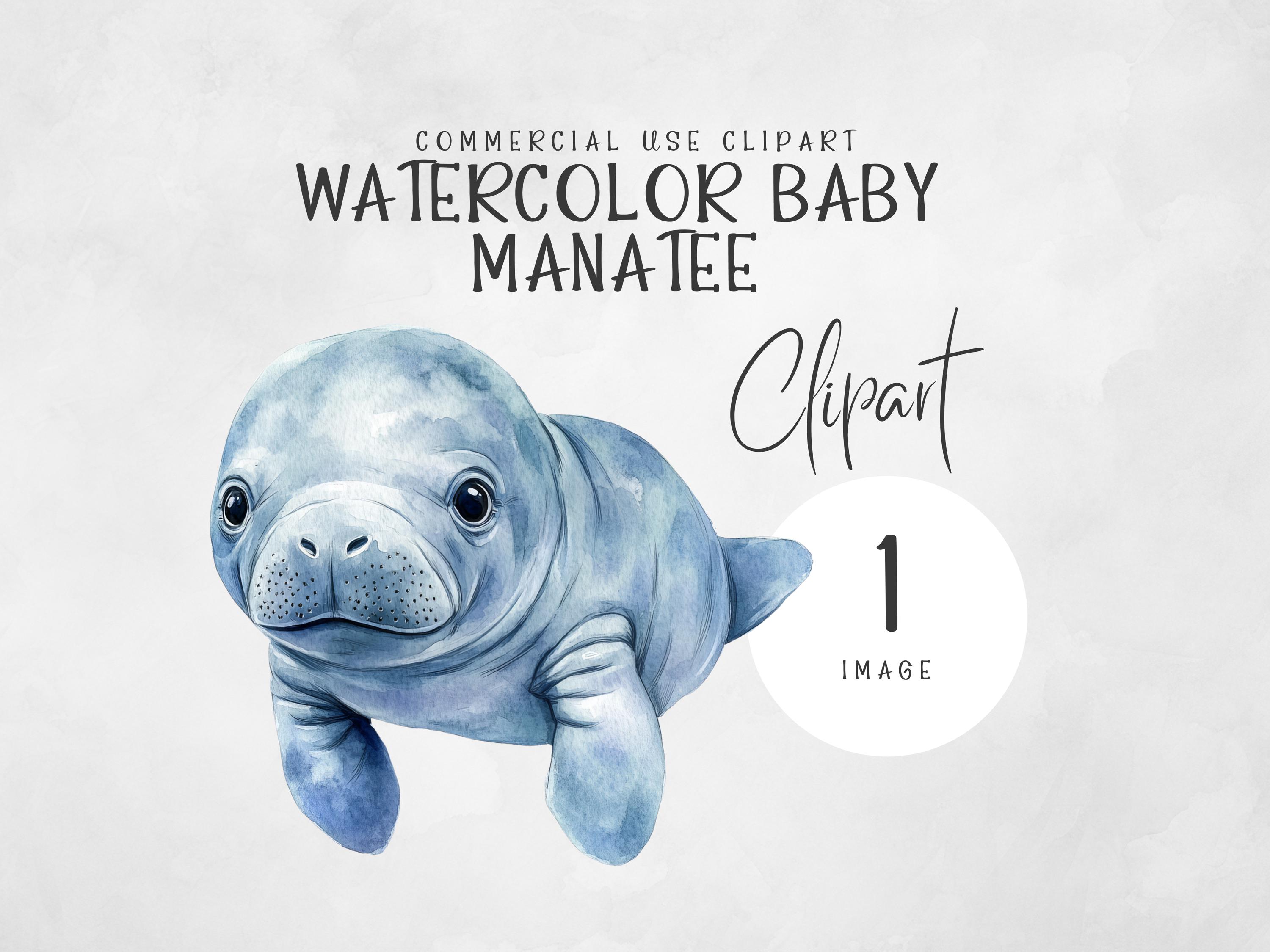 Watercolor Baby Manatee PNG Clipart | Cute Manatee Clipart | Ocean ...