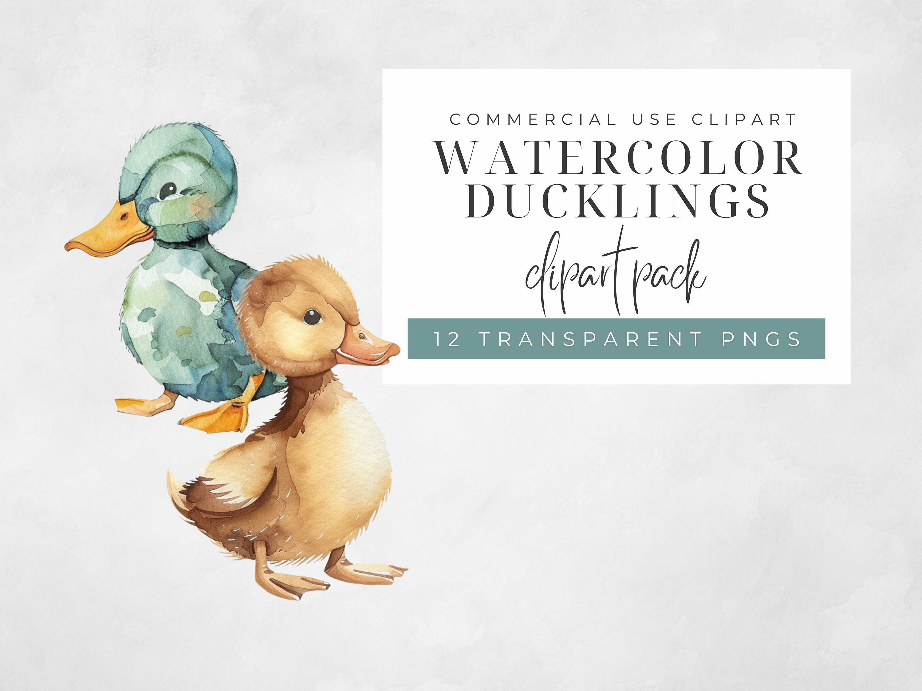 Watercolor Duckling Clipart, Digital Downloads, Mallard Duckling, Cute ...