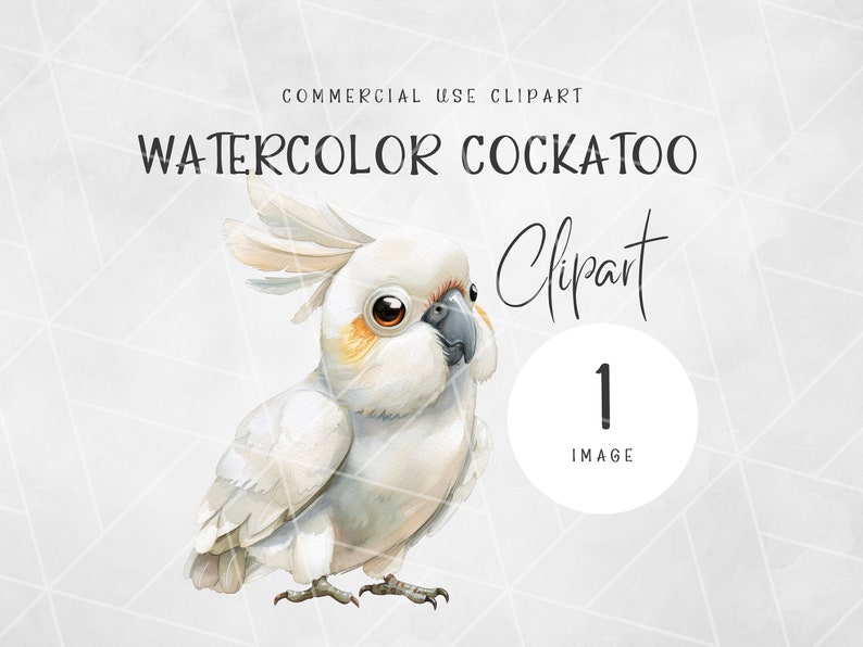 Baby Cockatoo PNG | Australian Animals Clipart | Watercolor Clipart ...