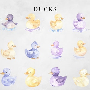 Watercolor Rubber Ducky Clipart Bundle | Rubber Duck | Rubber Ducky ...