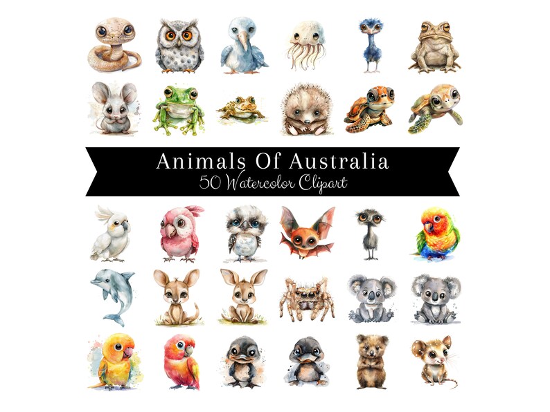 Australian Animals Clipart | Watercolor Clipart | Kangaroo Clipart ...