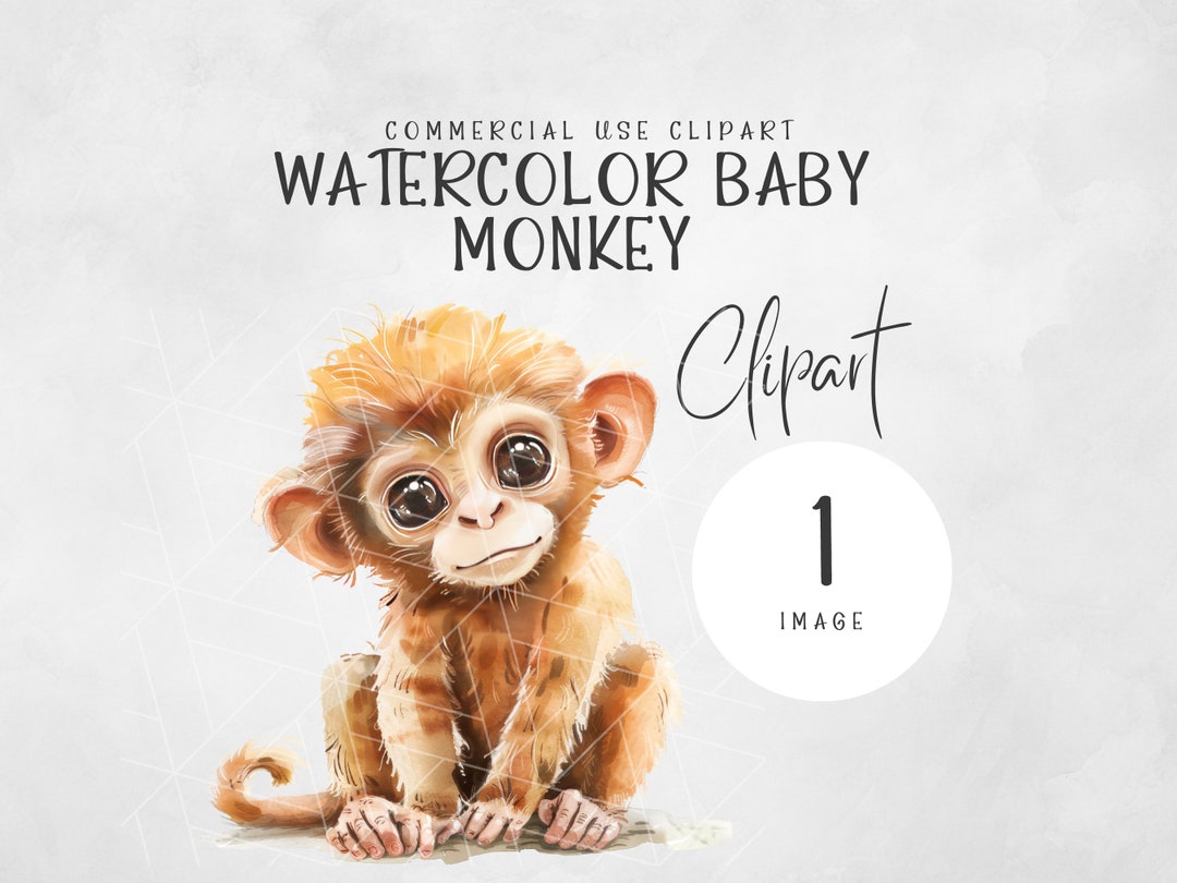 Watercolor Baby Monkey Clipart | Safari Jungle Clipart | Nursery ...