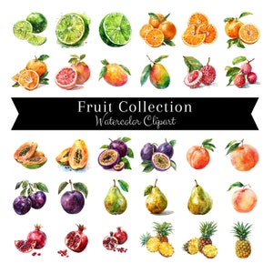 Watercolor Fruits Clipart Bundle Farm Clipart Watercolor Clipart Berry ...