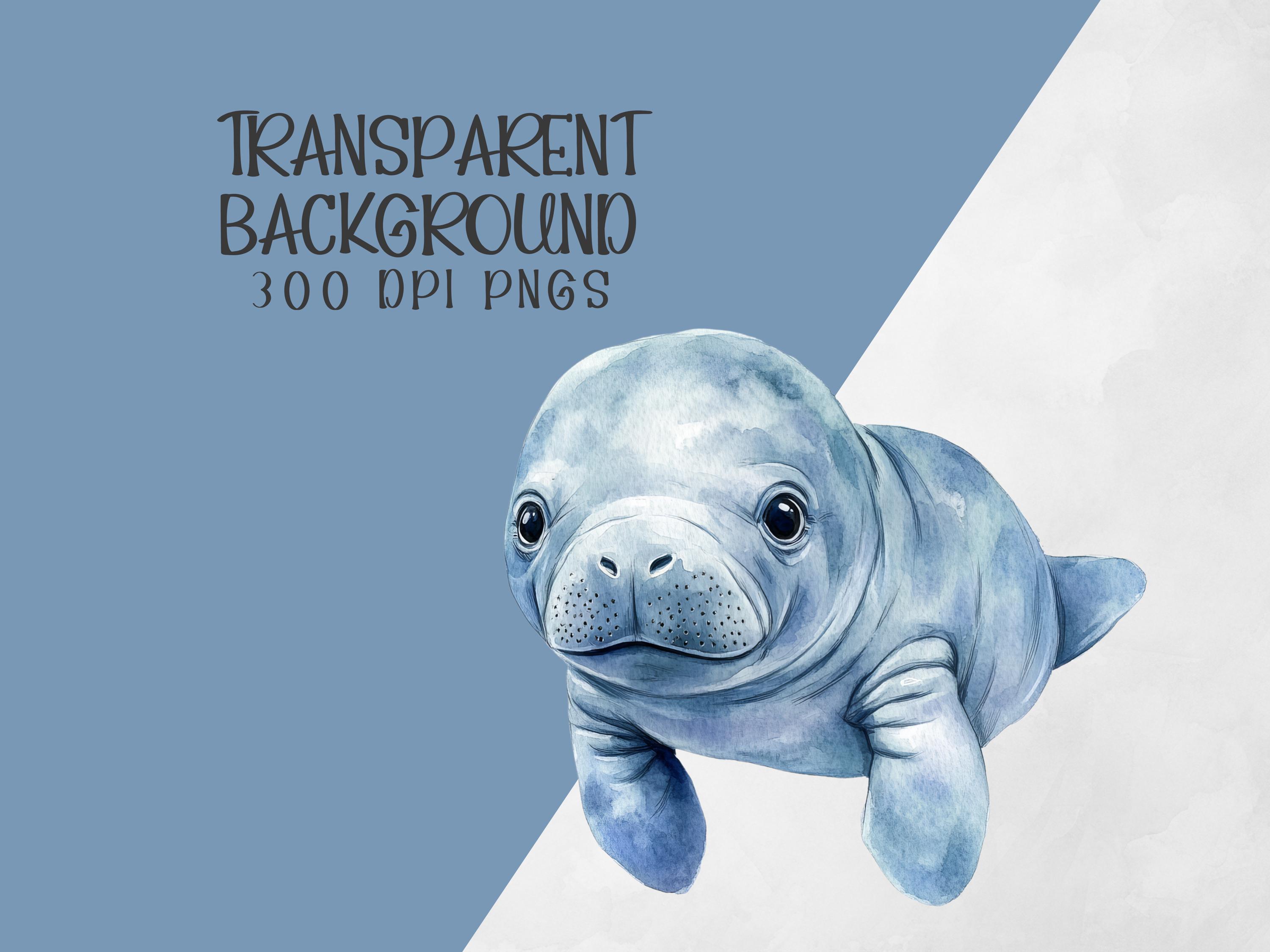 Watercolor Baby Manatee PNG Clipart | Cute Manatee Clipart | Ocean ...