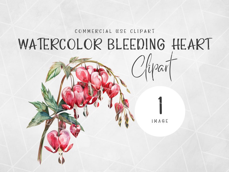 Watercolor Bleeding Heart Flower Clipart Bleeding Hearts Clipart ...