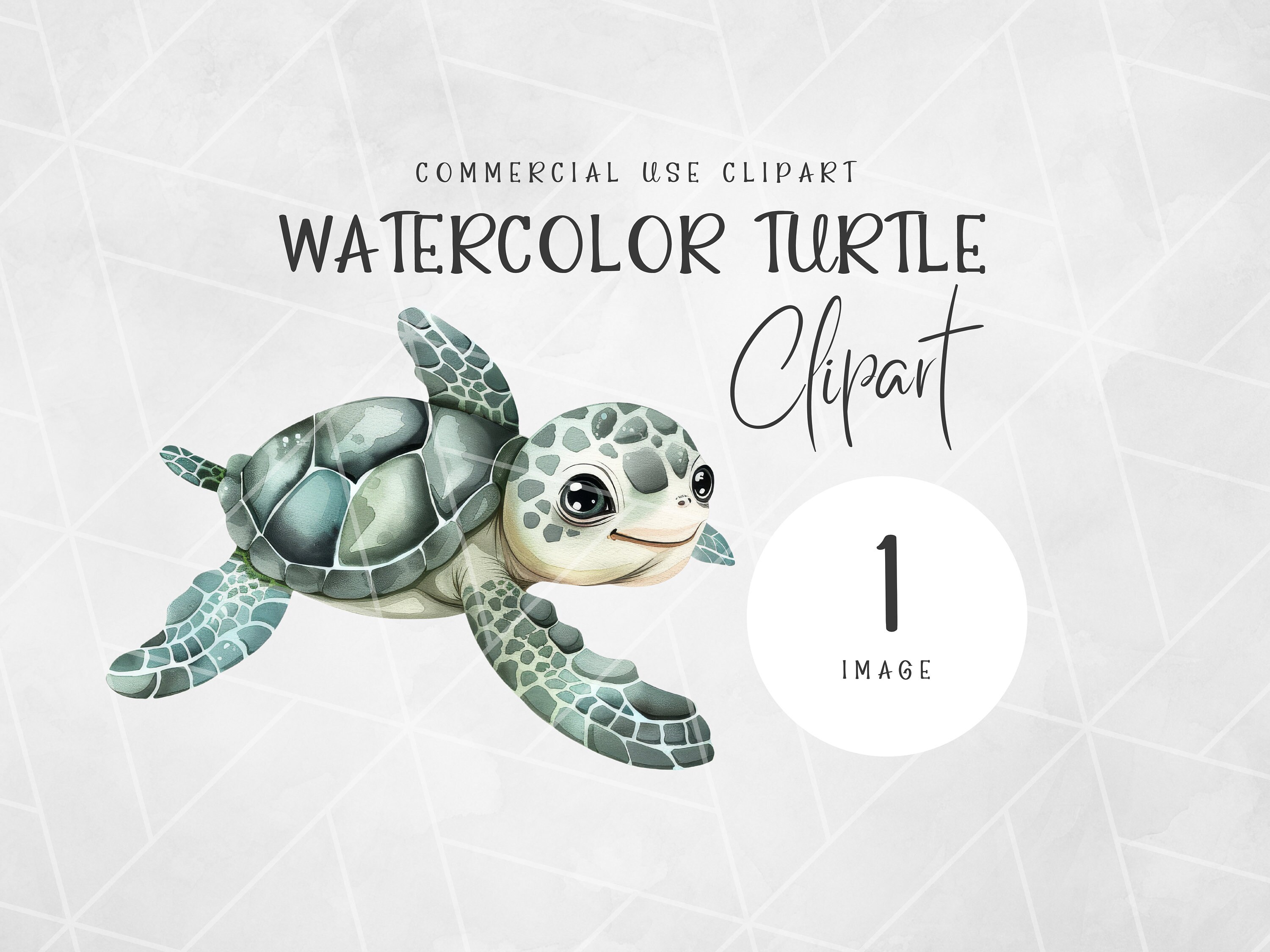Watercolor Baby Sea Turtle PNG Clipart | Cute Turtle Clipart | Ocean ...