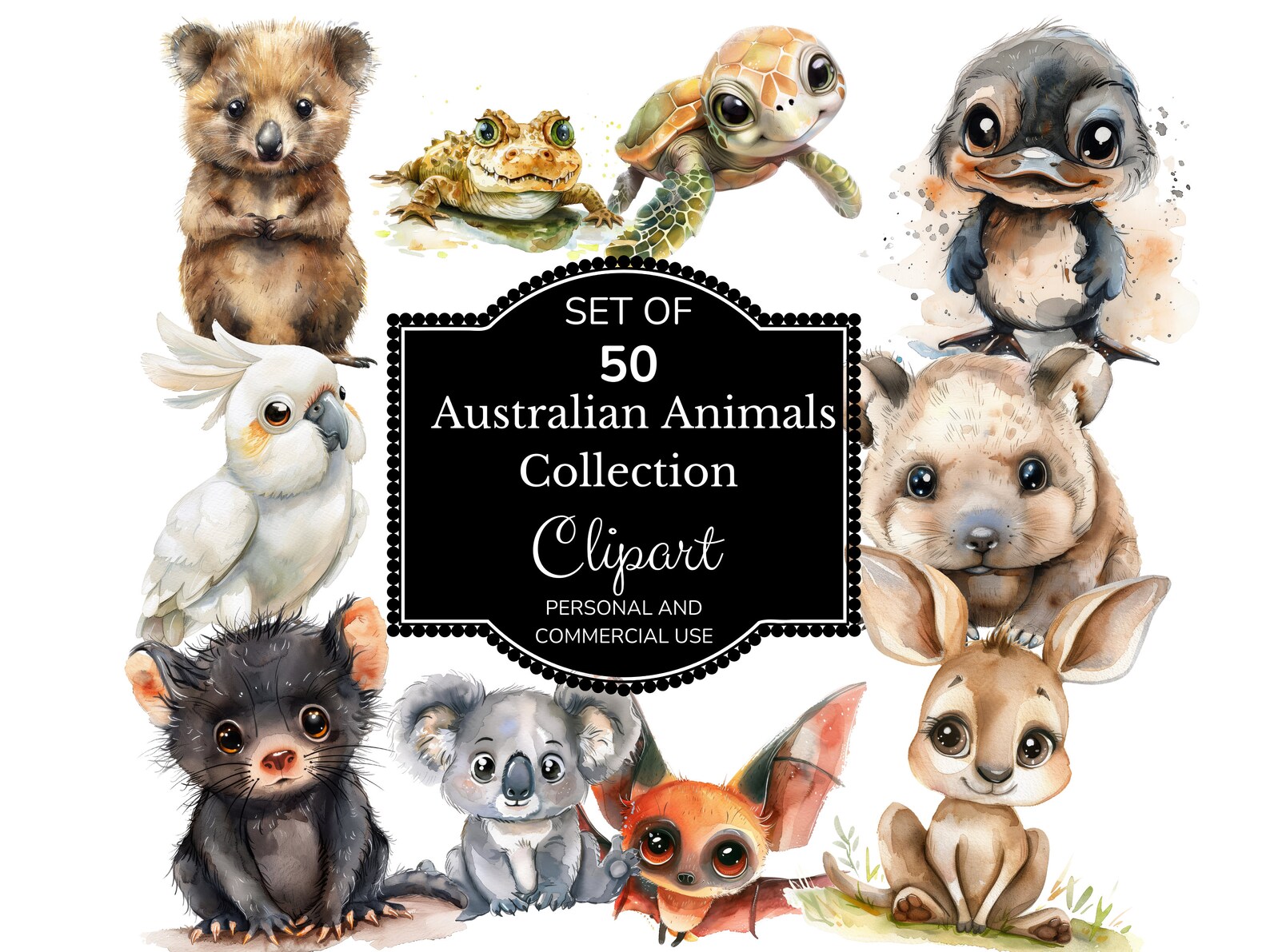 Australian Animals Clipart | Watercolor Clipart | Kangaroo Clipart ...