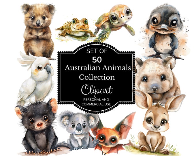 Australian Animals Clipart, Koala Clipart, Aussie Animals, Baby Shower ...