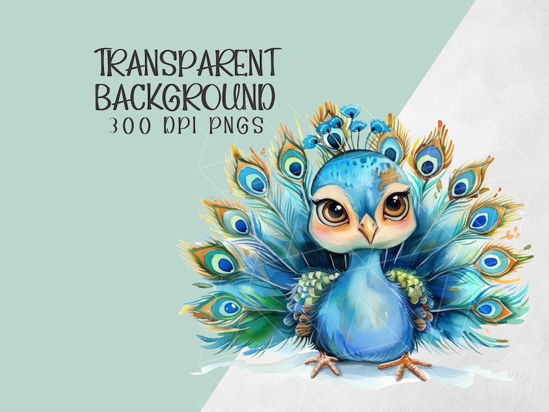 Watercolor Baby Peacock Clipart Peacock PNG, Peacock Feathers Clipart ...