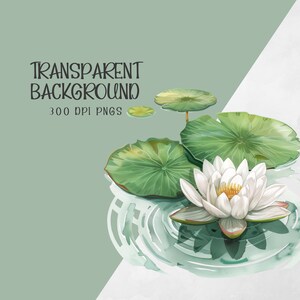 Watercolor Cute Baby Frog Clipart | Frog on Lily Pad | Pond Clipart ...