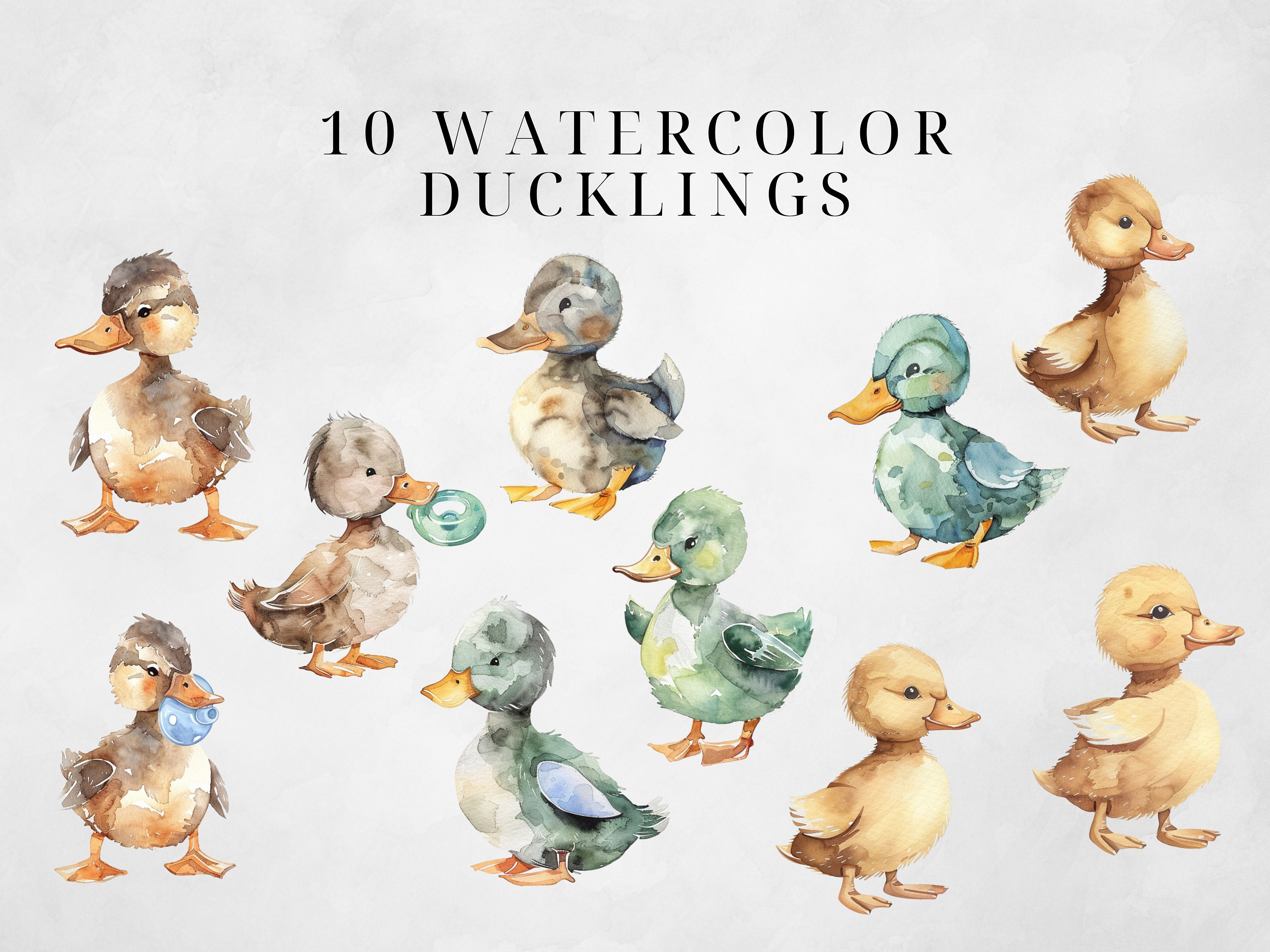 Watercolor Duckling Clipart, Digital Downloads, Mallard Duckling, Cute ...