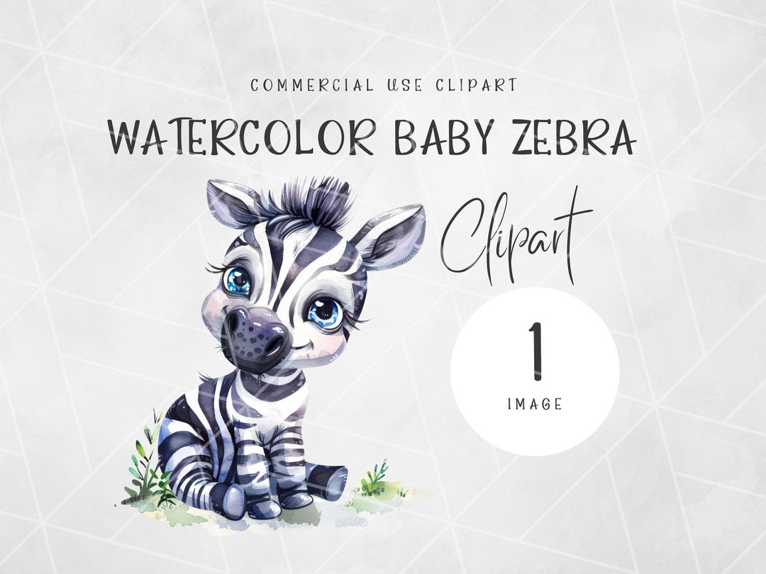 Watercolor Baby Zebra Clipart | Safari Jungle Clipart | Nursery Clipart ...