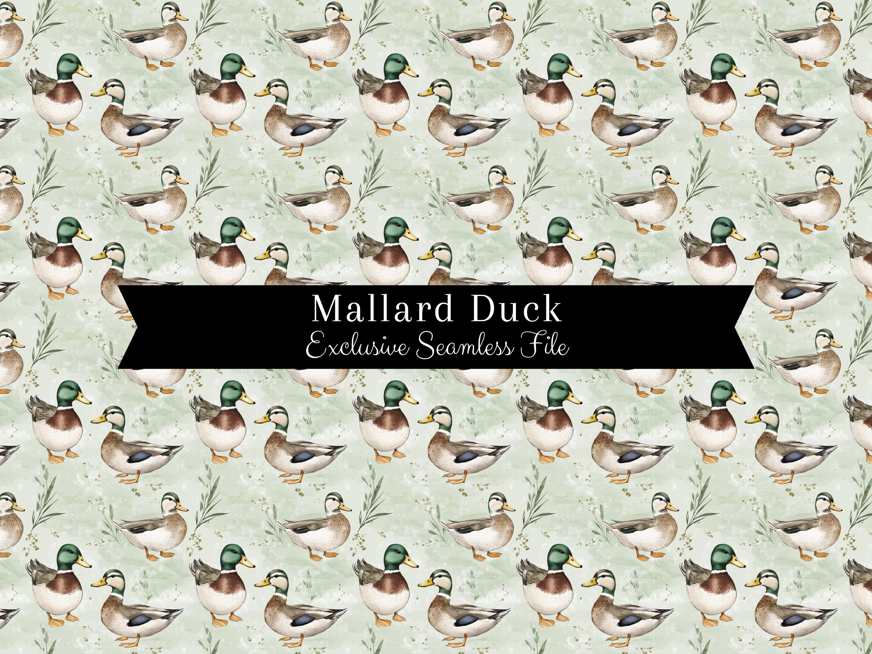 Seamless Mallard Duck Pattern Watercolor Ducks Hunting Backgrounds ...