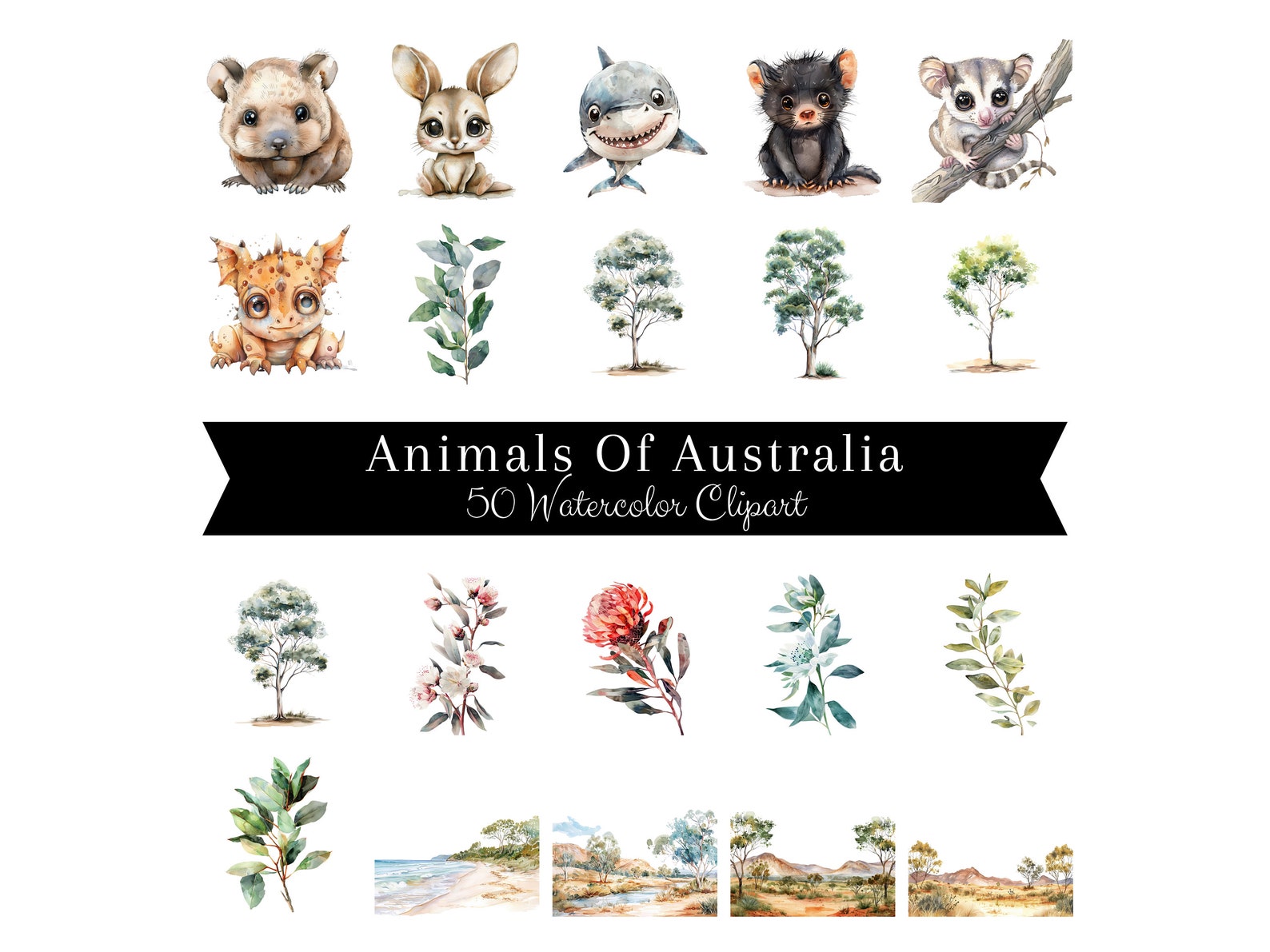 Australian Animals Clipart Watercolor Clipart Kangaroo Clipart Koala ...