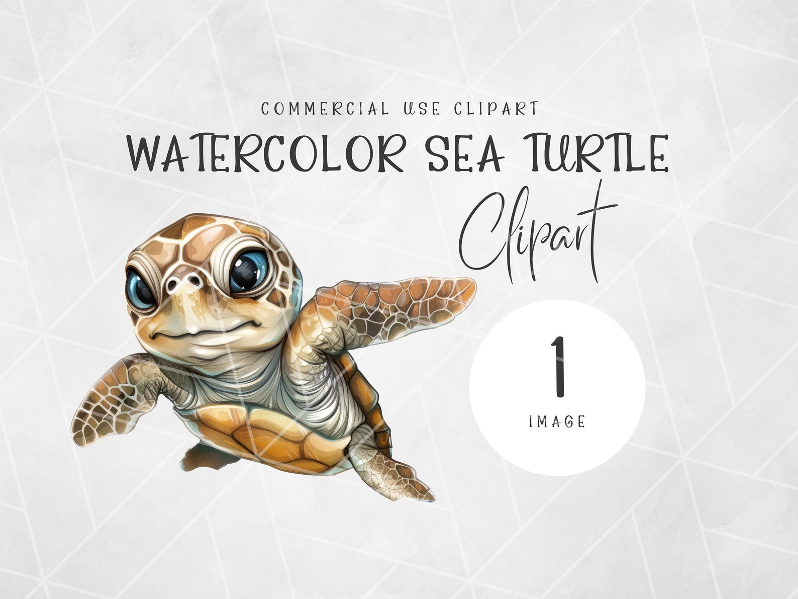 Watercolor Baby Sea Turtle PNG Clipart | Cute Turtle Clipart | Ocean ...