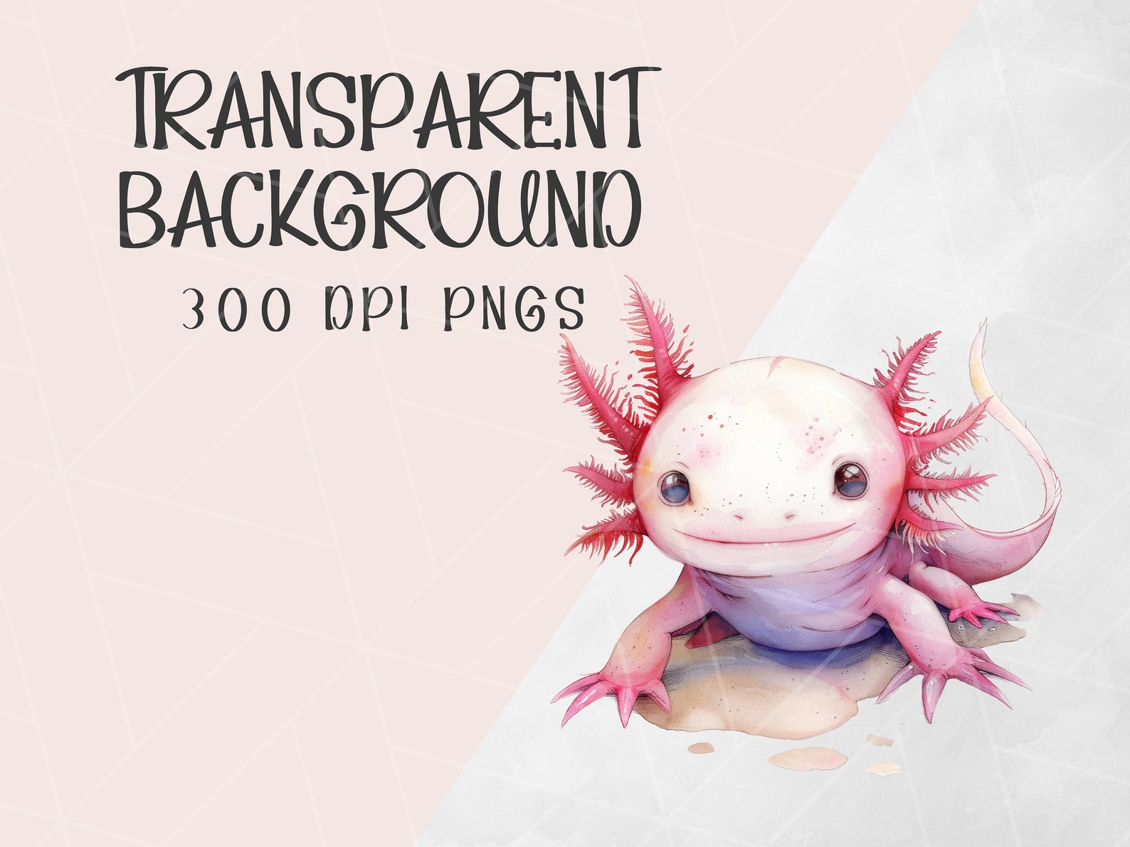Cute Axolotl Clipart Baby Axolotl Cute Axolotl Png Kawaii Axolotls Sea ...